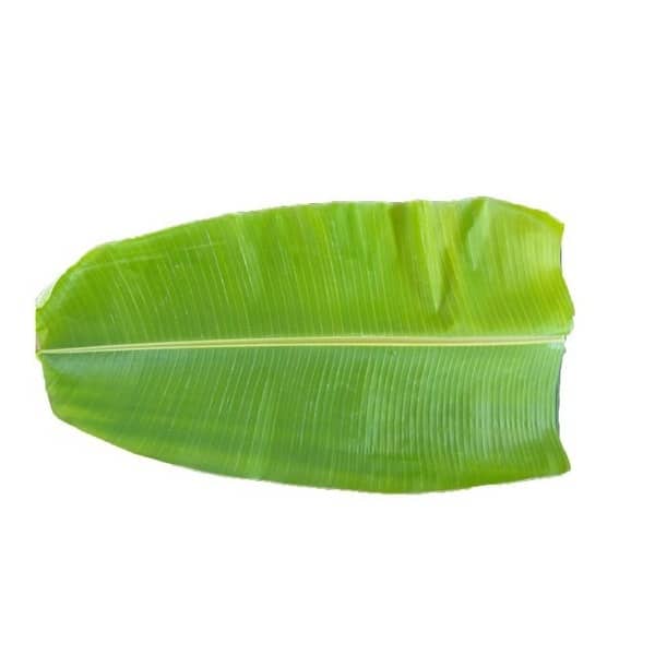 Festival Shop – Spicewayfoods.com